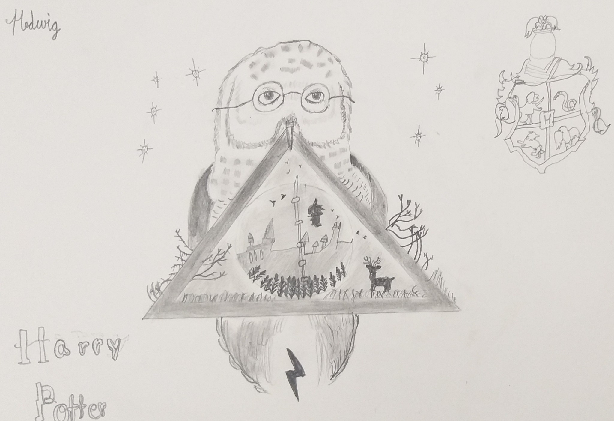 Harry Potter’s Hedwig : A sketch by Yashnashree,9, Bangalore